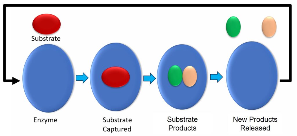 Overview - TETmedical